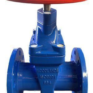 RSV Gate Valves Flanged – 664 TYPE - Woodlands Fire