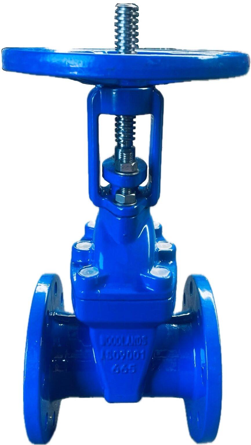 RISING SPINDLE - RSV Gate Valves – 665 TYPE - Woodlands Fire